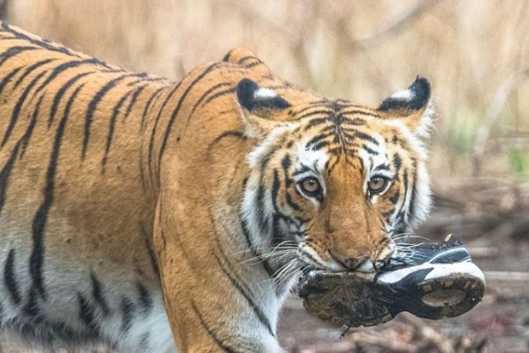 Wild Life Protection Amendment Bill 2021 UPSC Notes Wild Life Protection Amendment Bill 2021 UPSC Notes