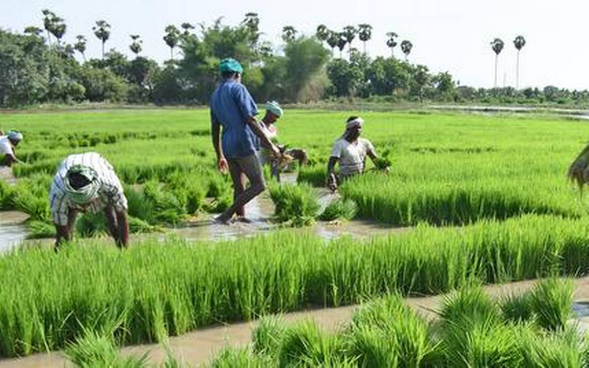 CROP (Comprehensive Remote Sensing Observation on Crop Progress) - UPSC ...