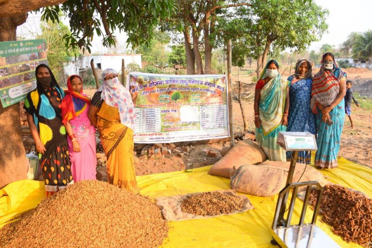 14 Minor Forest Produce Items Included Under MSP Scheme - UPSC Notes