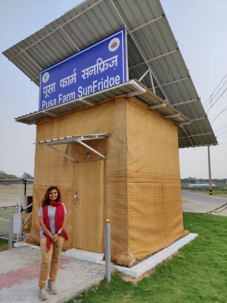 Pusa Farm Sun Fridge (Pusa-FSF) – CrackitToday Affairs