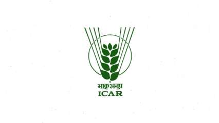 Zinc and Iron in Rice : Indian Council Of Agricultural Research (ICAR ...