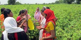Mahila Kisan Sashaktikaran Pariyojana – CrackitToday Affairs