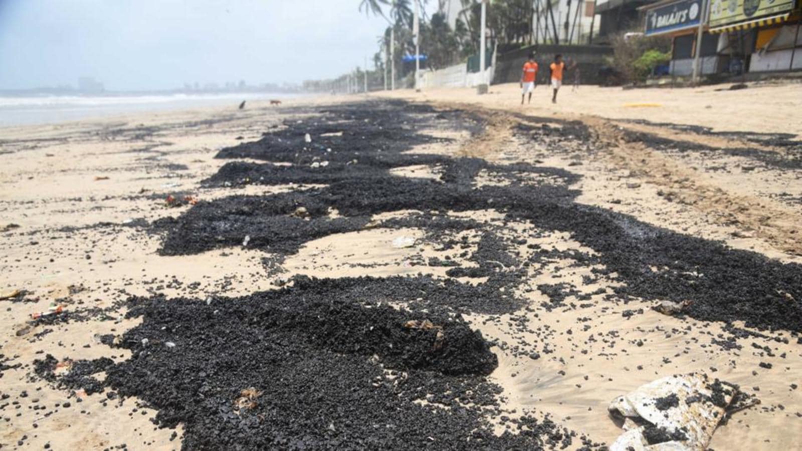 What are Tarballs? – CrackitToday Affairs