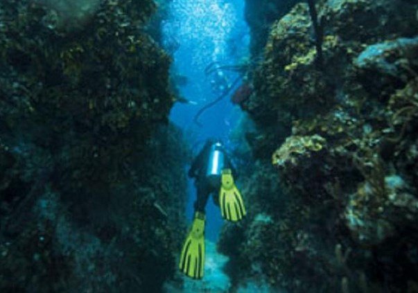 O-SMART Scheme – CrackitToday Affairs