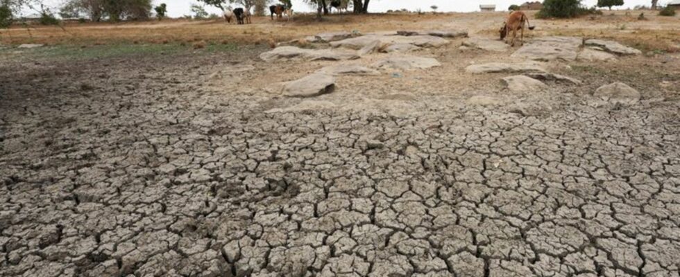 India’s Climate Ambitions – CrackitToday Affairs