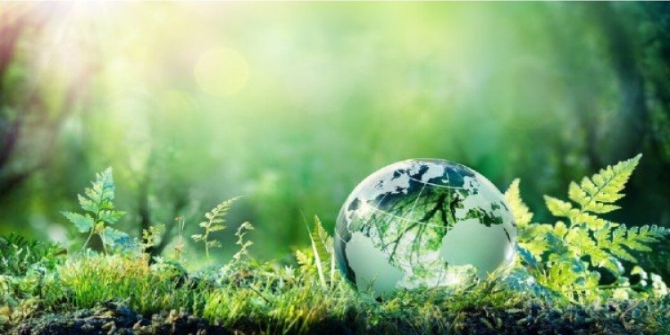 State Of Environment Report, 2022 – CrackitToday Affairs