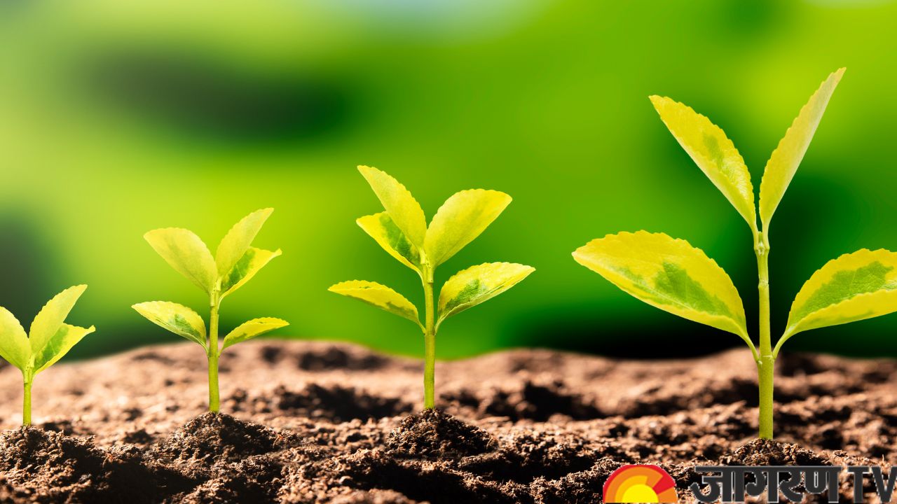 Environment Summits of 2024 – CrackitToday Affairs