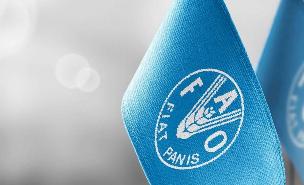 FAO : Report – CrackitToday Affairs