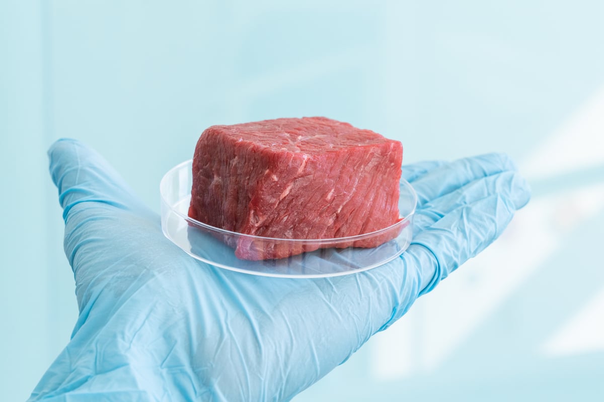Taurine : A Nutrient Found In Meat And Fish - UPSC Notes