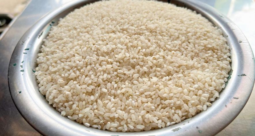 Mushk Budiji Rice : Role Of Temp And Altitude – CrackitToday Affairs