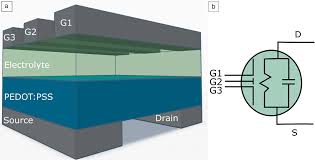 Organic Electrochemical Transistor – CrackitToday Affairs